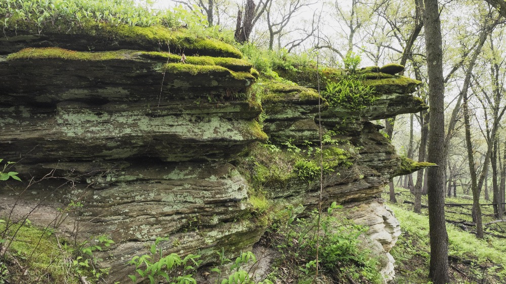 The Role Of Soil Carbon In Natural Climate Solutions Us Nature4climate