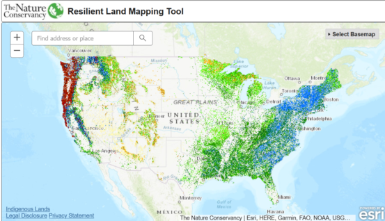 Forests: A seemingly simple answer to confronting climate change and ...