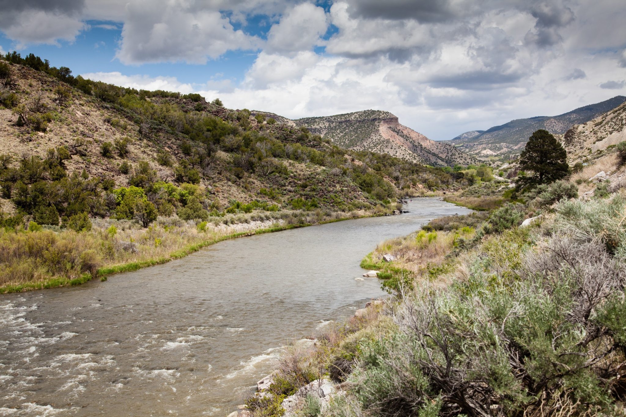 Creating Resilient Forests in the Jemez Mountains - US Nature4Climate