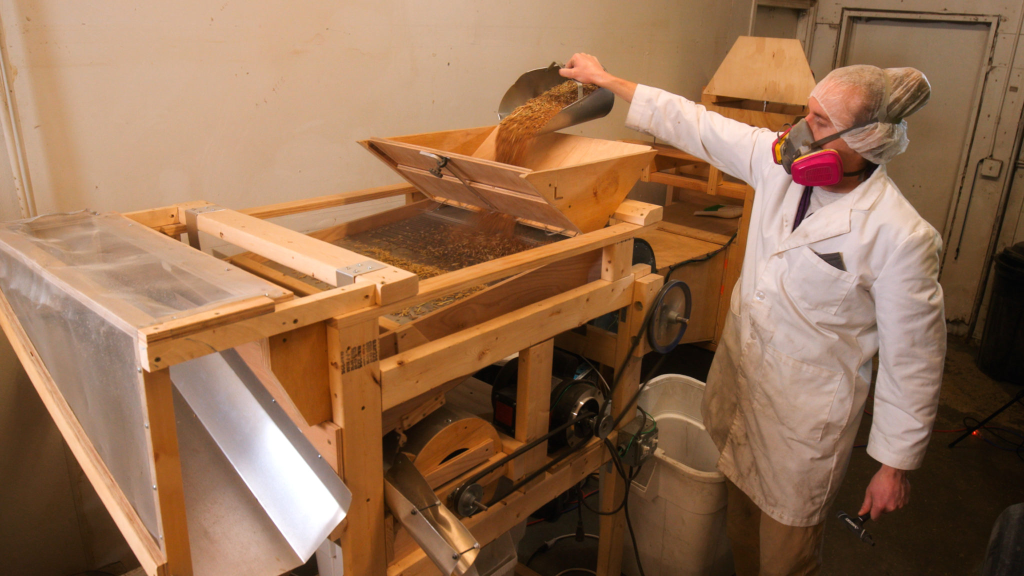 Kernza®: A Perennial Grain with Climate Solution Potential Baked Right ...