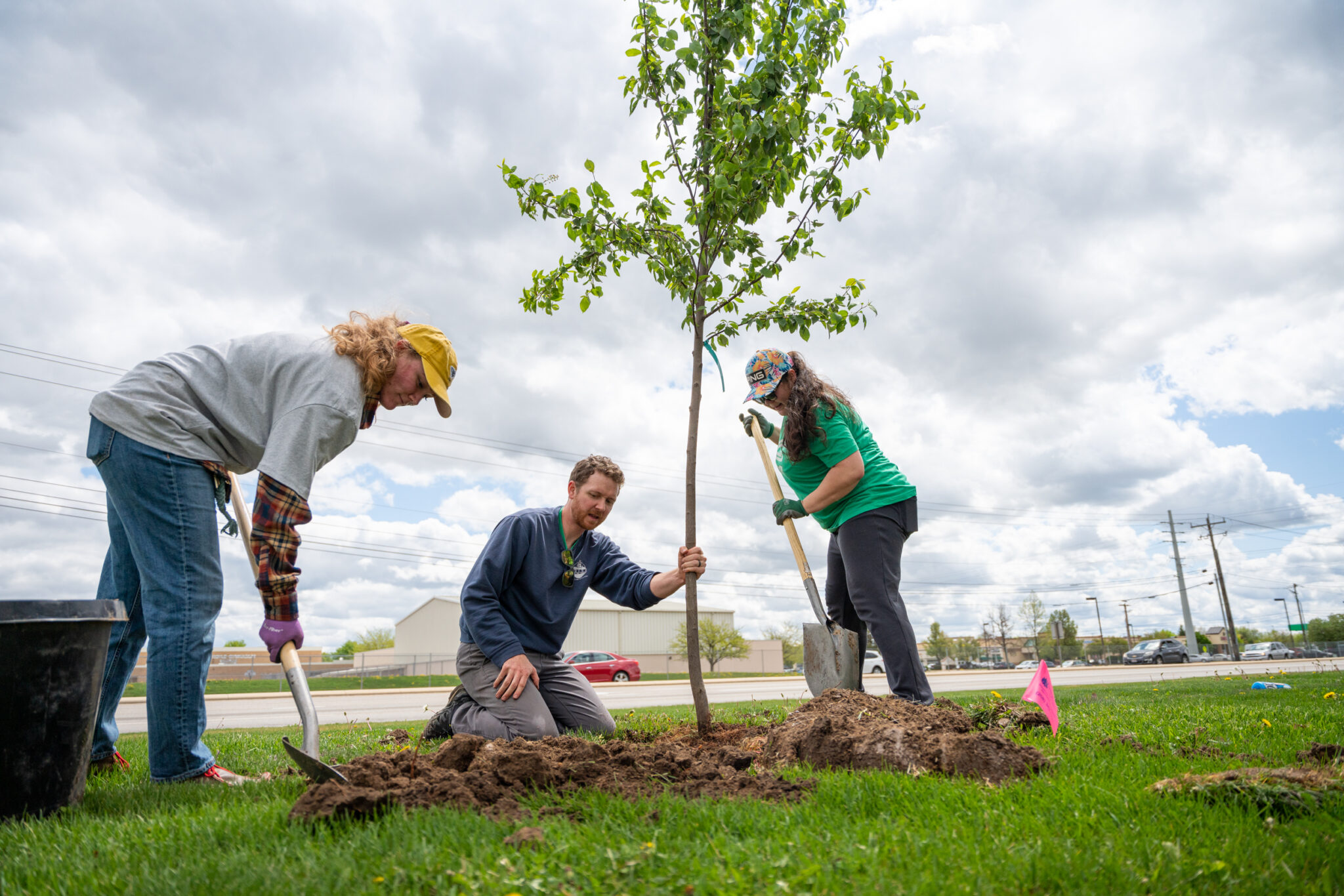The Boise City of Trees Challenge: 235,000 New Trees Helping to Tackle ...